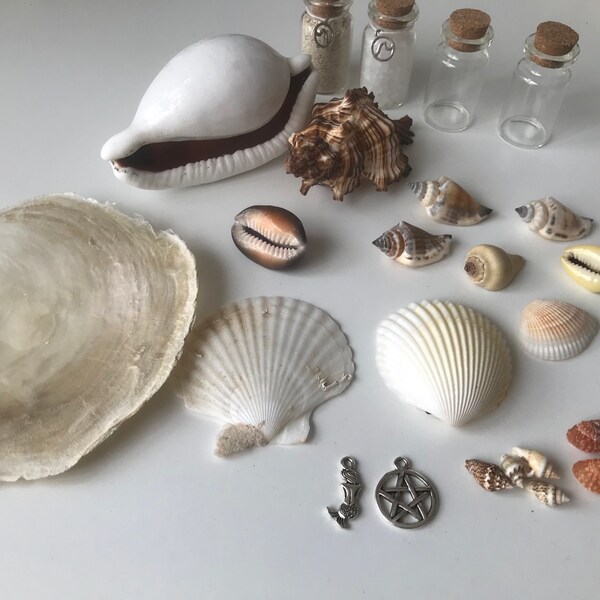 Sea Witch Starter Kit - Etsy