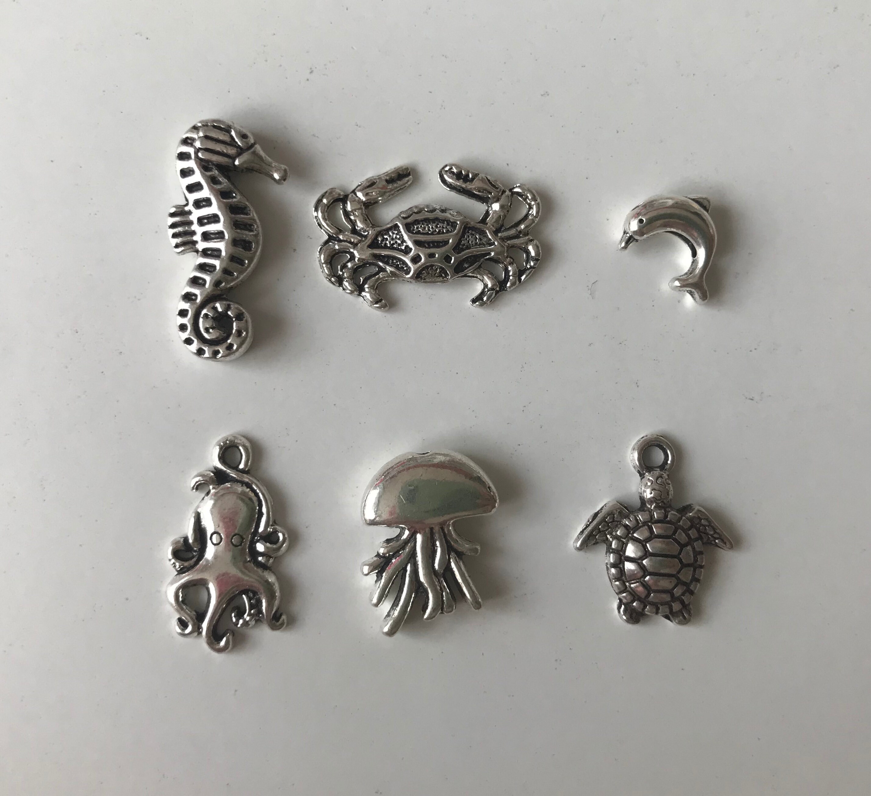 Sea Witch Starter Kit Seashell Kit | Etsy