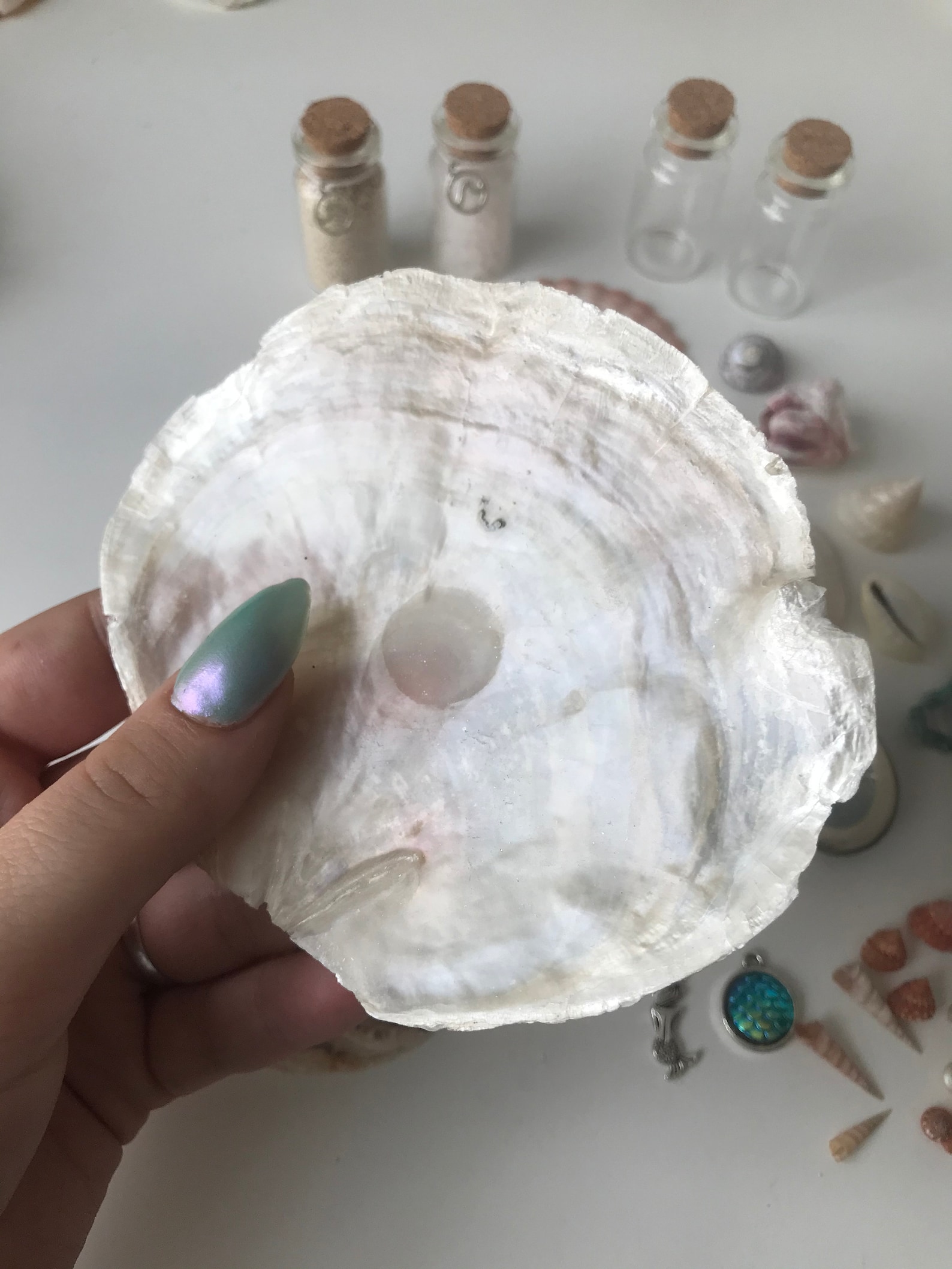 Sea Witch Starter Kit Seashell Kit | Etsy