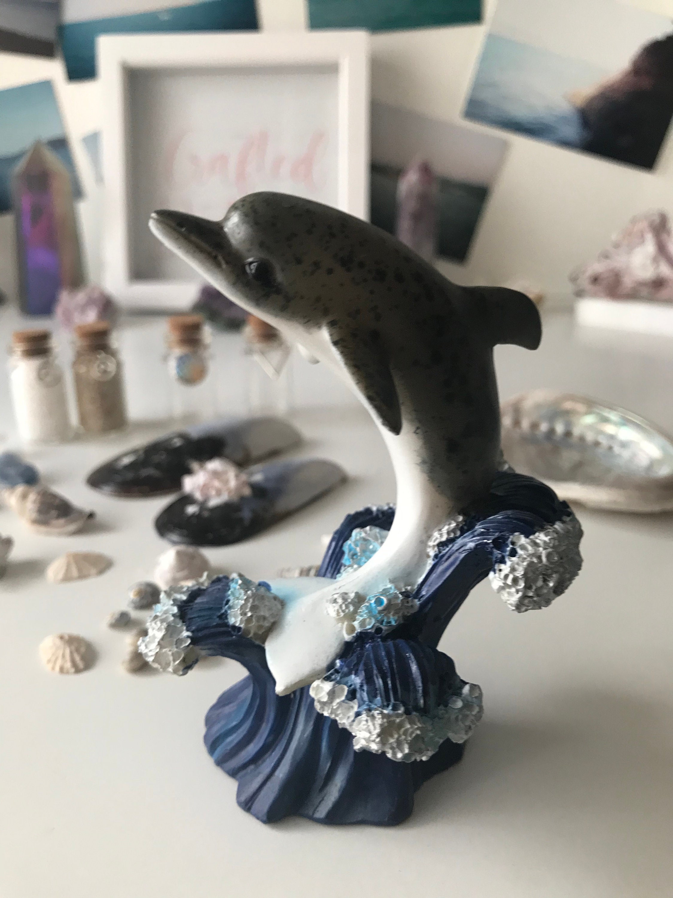 Sea Witch Starter Kit in Blue Unusual Shells Seashell Kit | Etsy