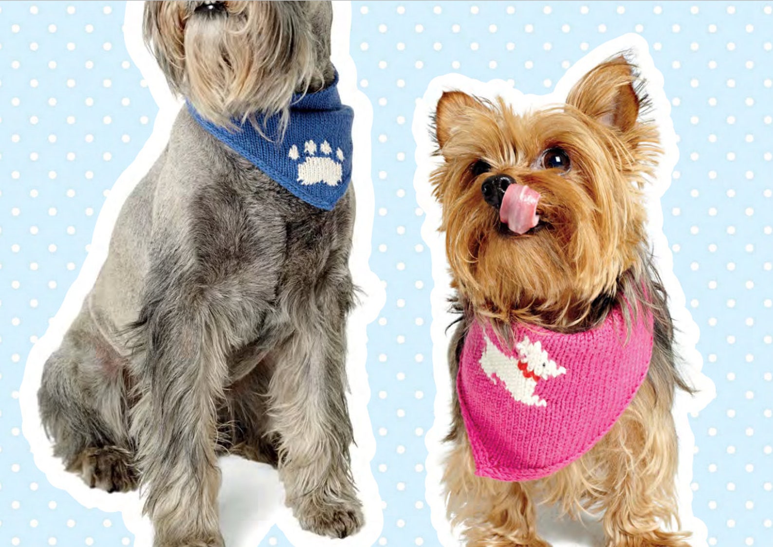KNITTING PATTERN Dog Scarf Neckerchief/sport Yarn Dog Pet Neck - Etsy