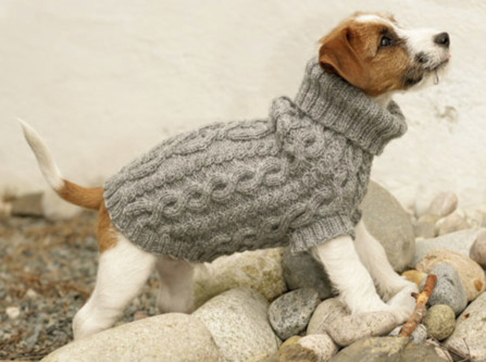 PDF KNITTING PATTERN Dog Aran Sweater Dog/aran Yarn Dog Pet Fisherman ...