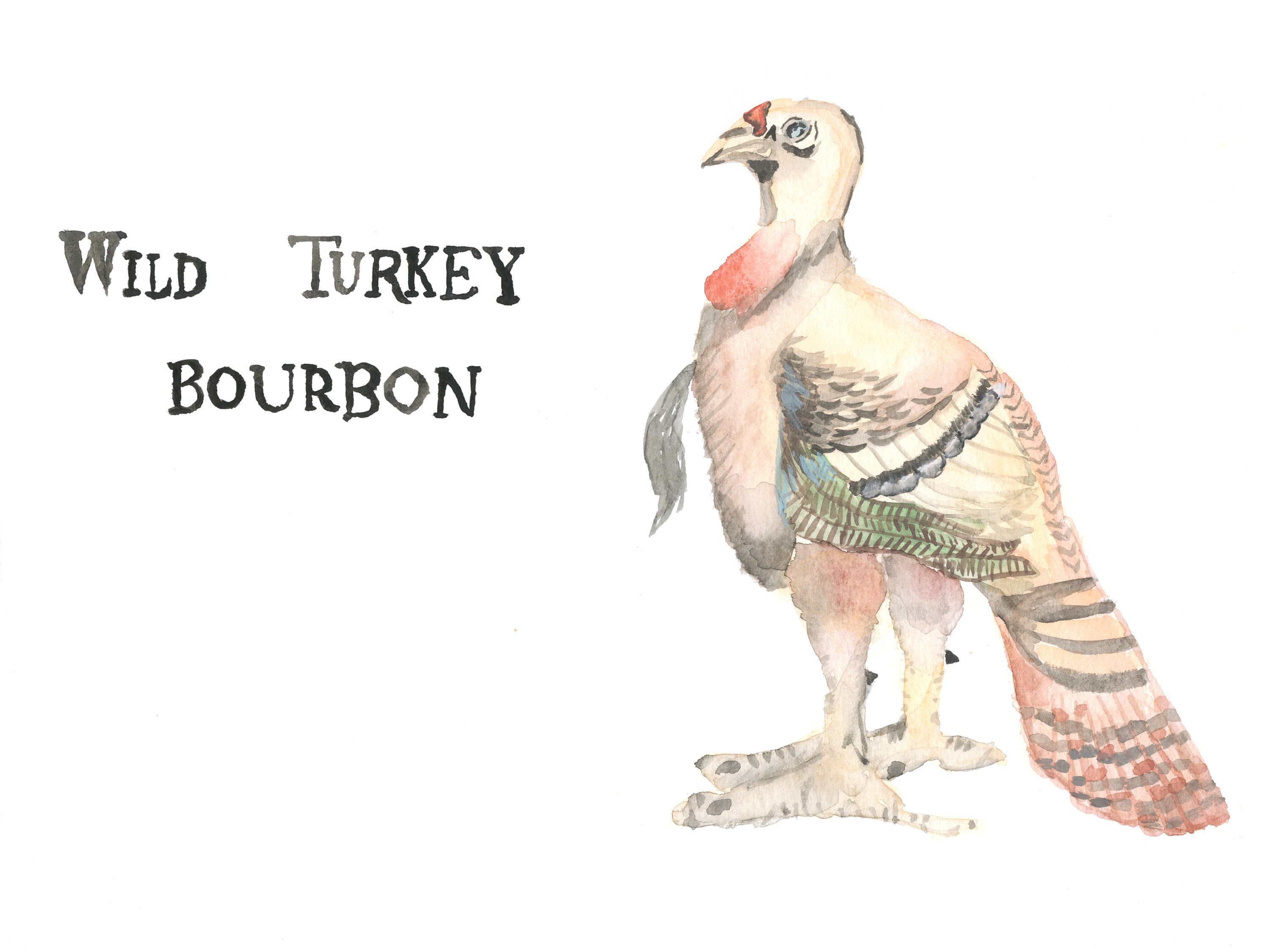 Wild Turkey Portrait - Etsy