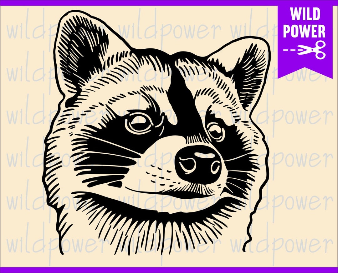 Raccoon Face With Paws Svg,raccoon Vector,raccoon Download,funny ...