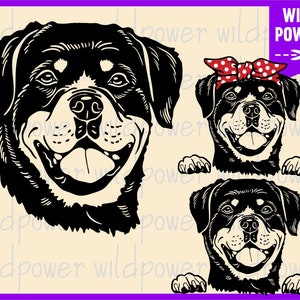 Rottweiler Svg, Dog Svg Cricut, Rott Vector, Rottie Clipart, Rottweiler ...