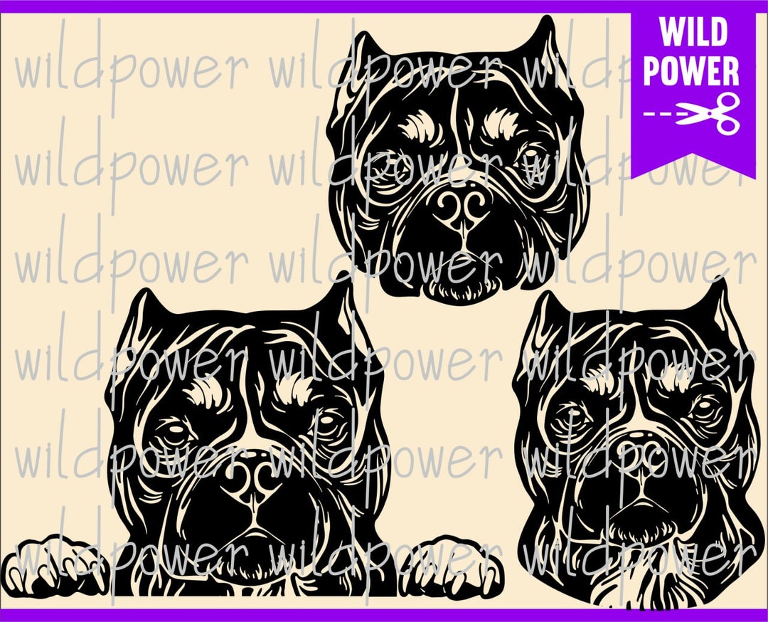AMERICAN BULLY Svg,american Bully Dog Svg,american Bully Dog Files ...
