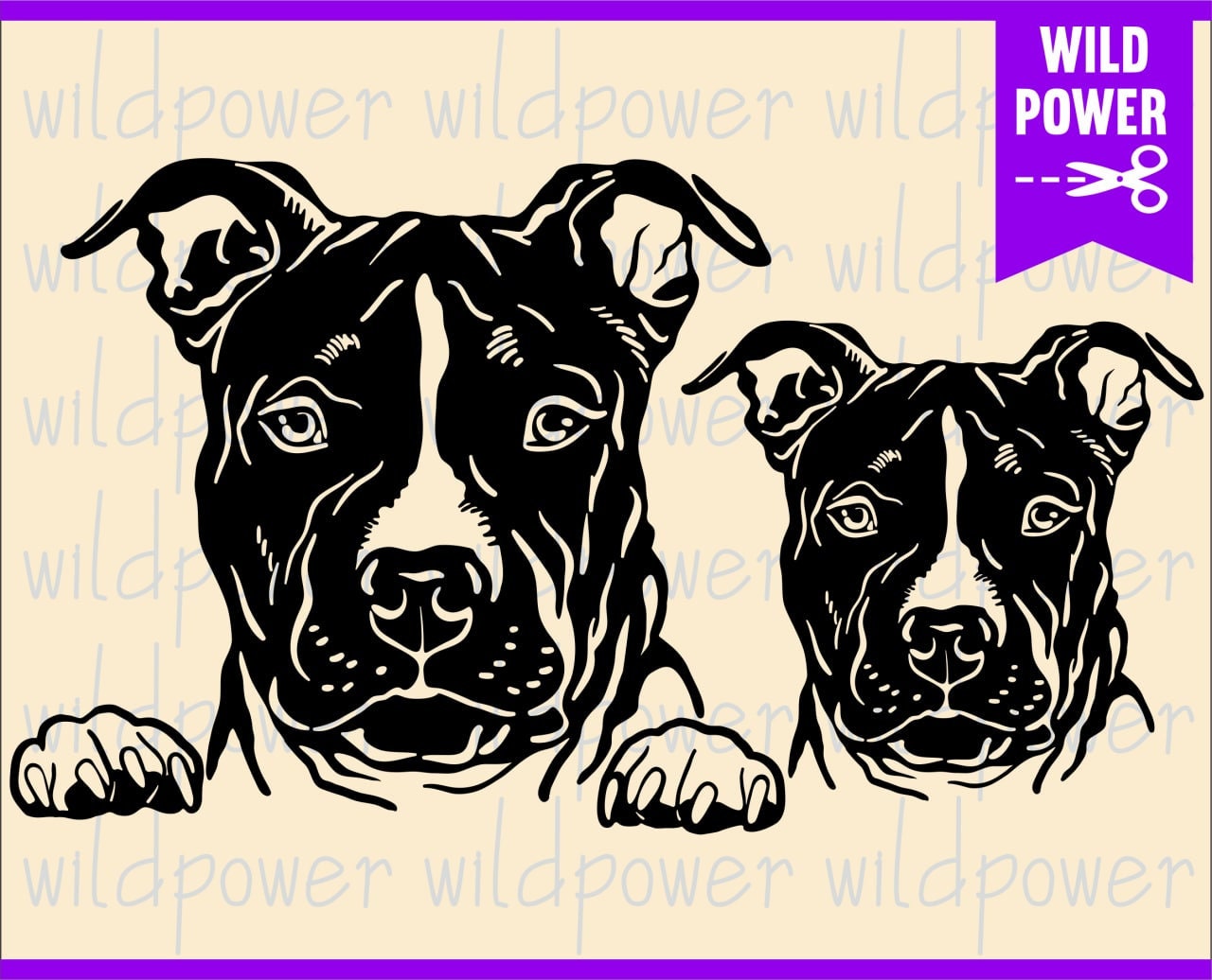 Pit Bull Dog Svgpit Bull Pngpit Bull Svg Pit Bull for - Etsy