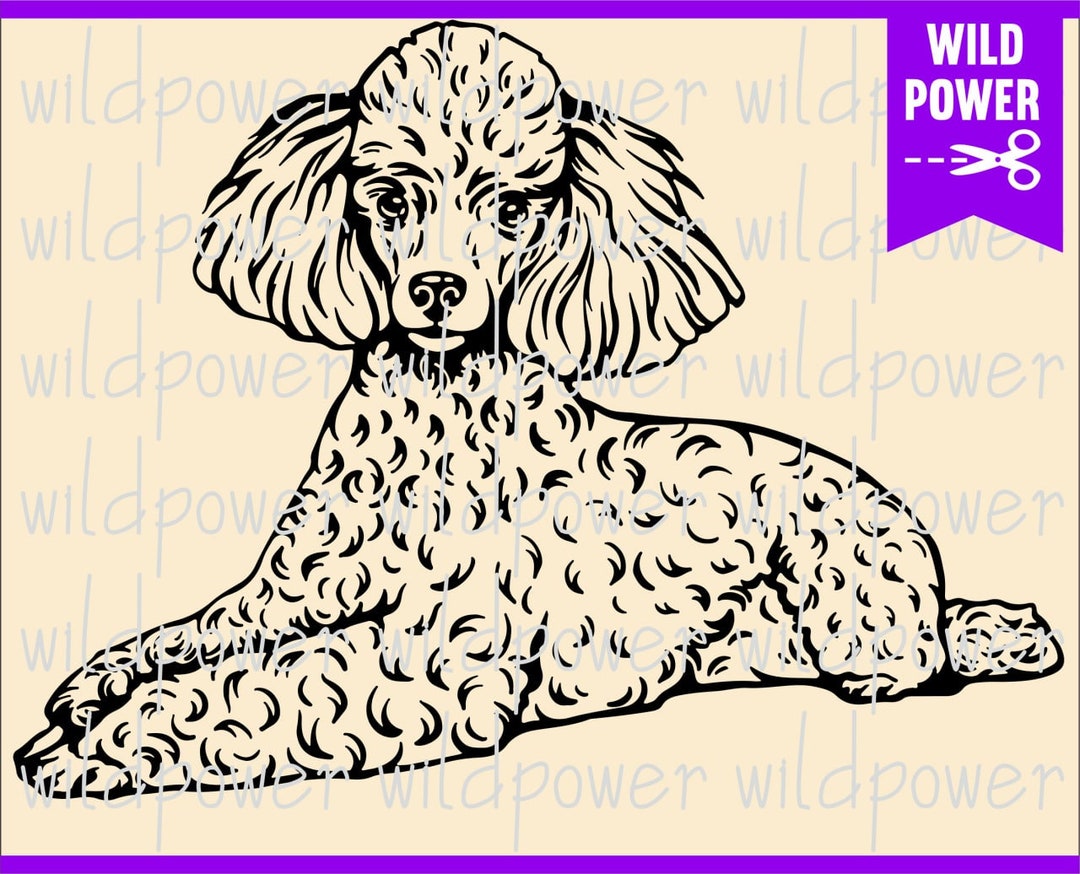 Poodle Svg,poodle Shirt,poodle Svg Files for Cricut,poodle Dxf,poodle ...
