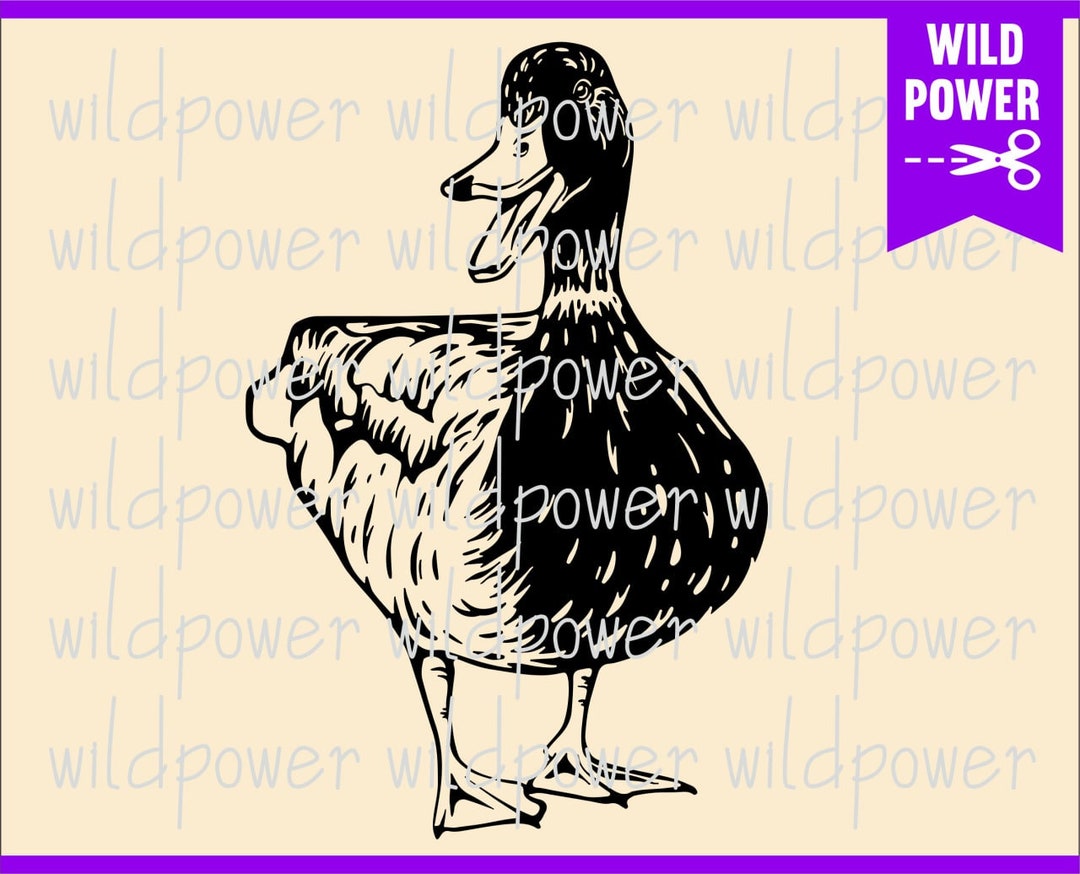 Duck Svg Files for Cricut,duck Svg,duck Clipart,duck Farm Animal Svg ...
