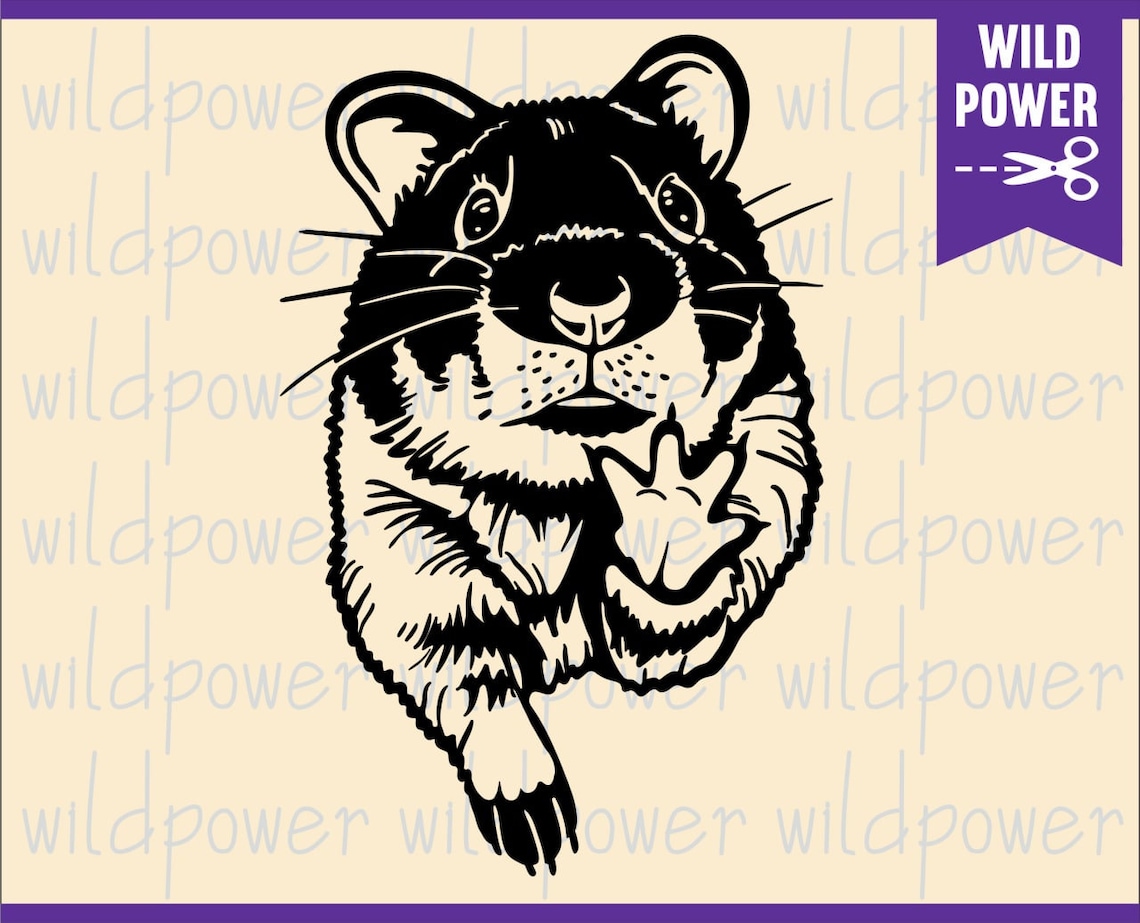 Hamster SVG Hamster Cut Files Hamster Clipart Guinea Pig - Etsy