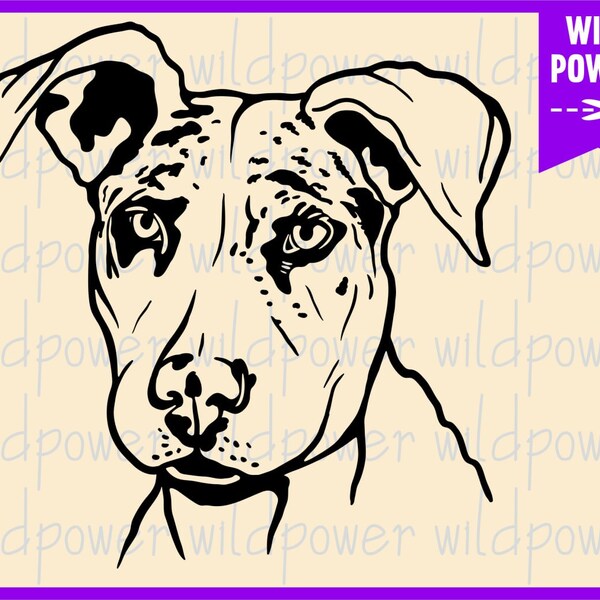 Bull Arab Vector - Etsy