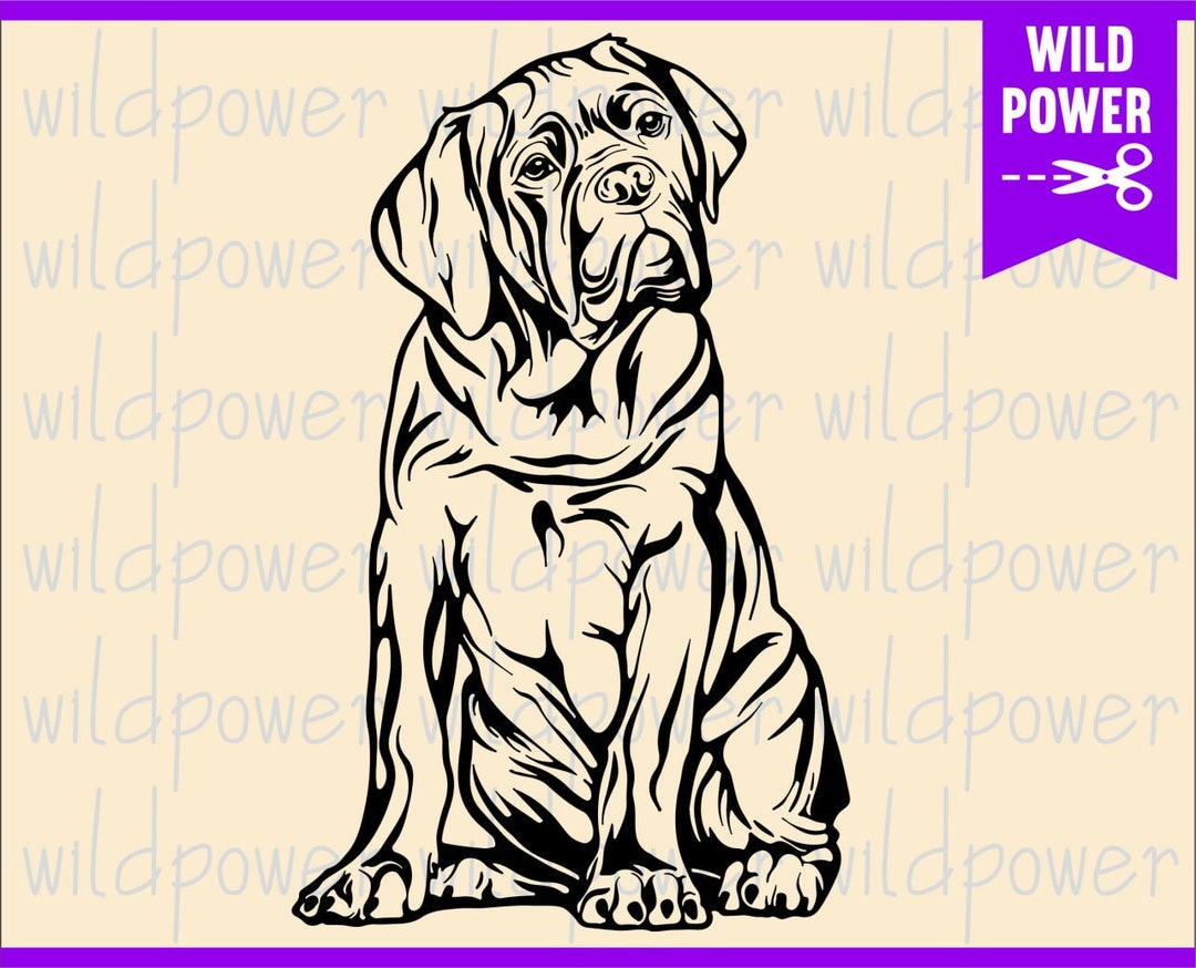 French Mastiff Svgfrench Mastiff Cricutfrench Mastiff - Etsy