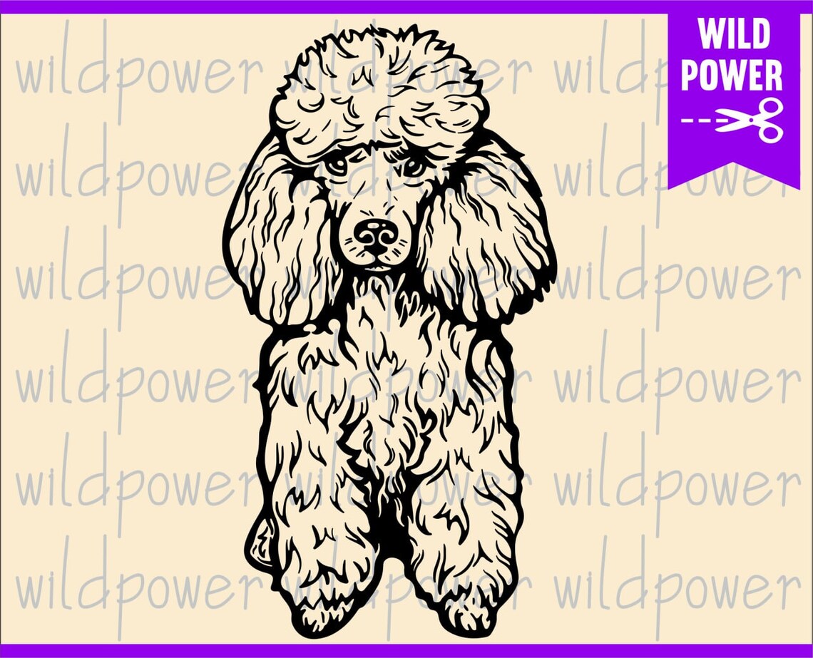 Poodle svgPoodle shirtPoodle svg files for cricutPoodle | Etsy