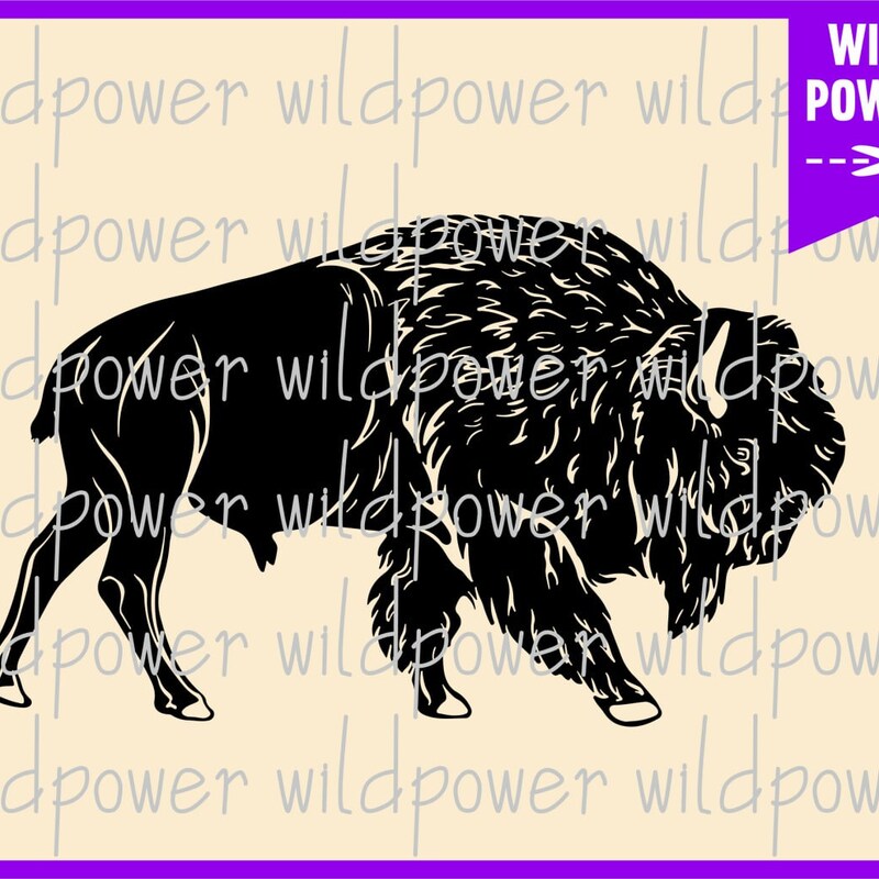 Buffalo Svg - Etsy