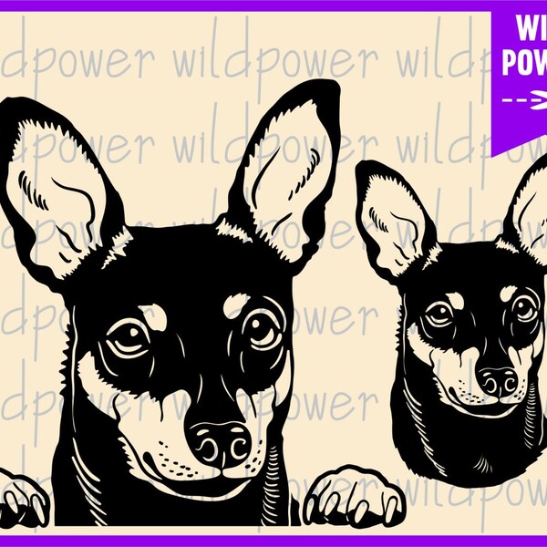 Miniature Pinscher - Etsy