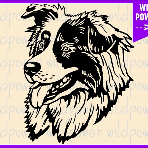 Australian Shepherd Svg Cut File Dog Cuttable Cricut Aussie - Etsy