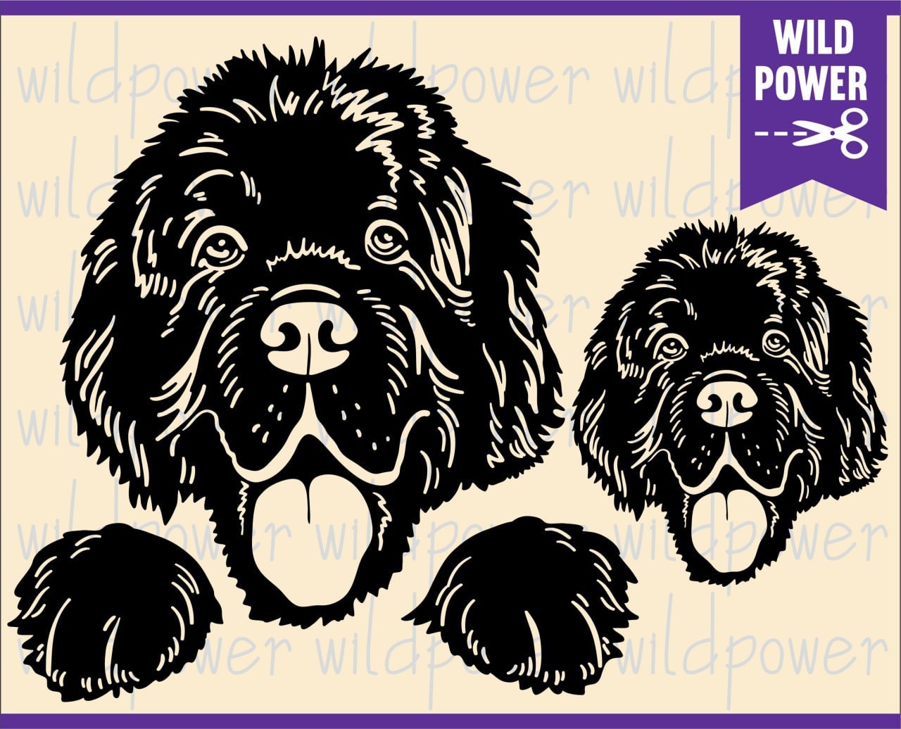 Newfoundland Svgdog Svg File for Cricutnewfoundland - Etsy