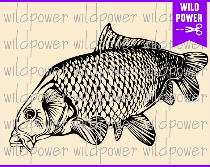 Carp Fish Clipart, Carp Fish Svg ,karp Svg ,carp Fishing Svg , Fishing ...