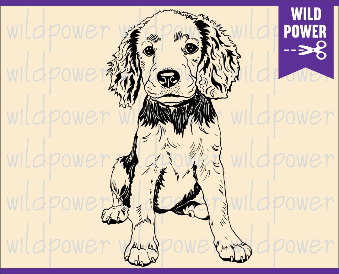 English Springer Spaniel Svg,cute English Cocker Spaniel Svg,dog Svg ...