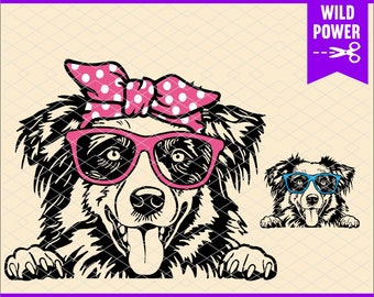 Mini Australian Shepherd - Etsy