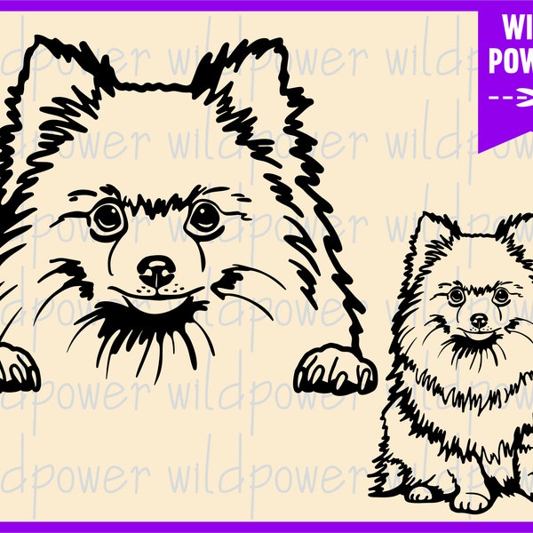 Pomeranian Svg - Etsy