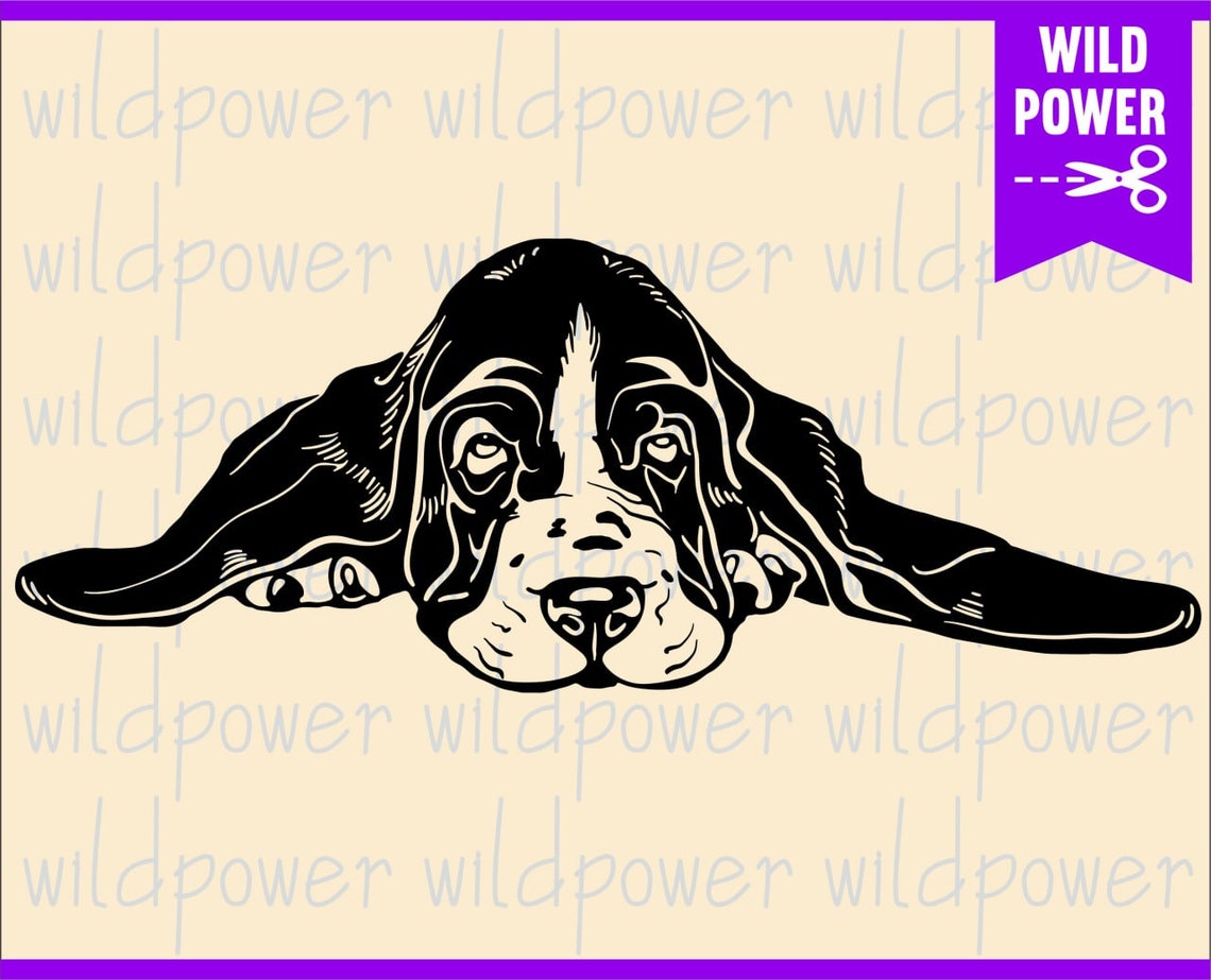 Basset hound svgdog svg cricutBasset hound svg filesBasset - Etsy España