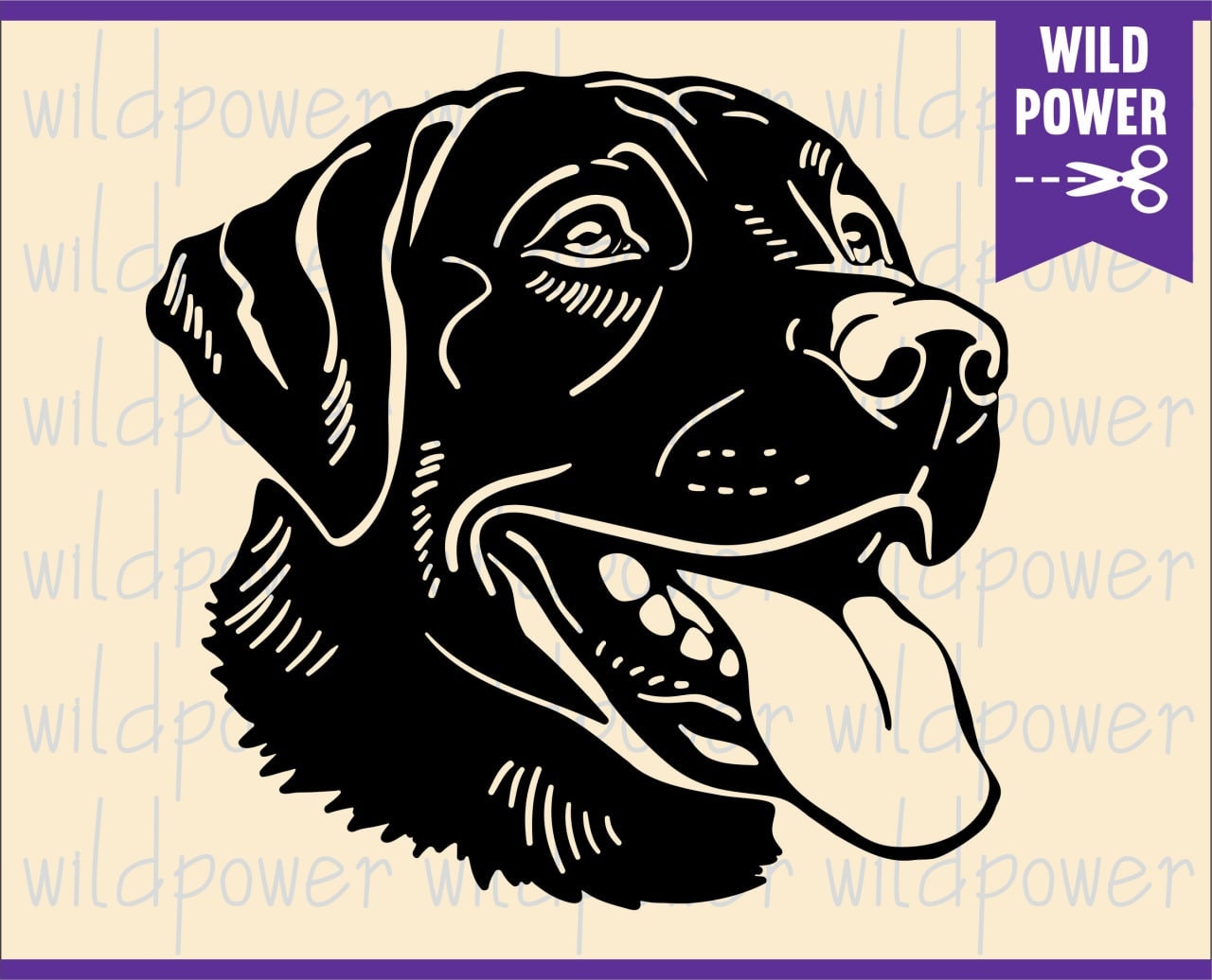 Color Black Labrador Head,Labrador silhouette,Dog SVG Files for Cricut ...