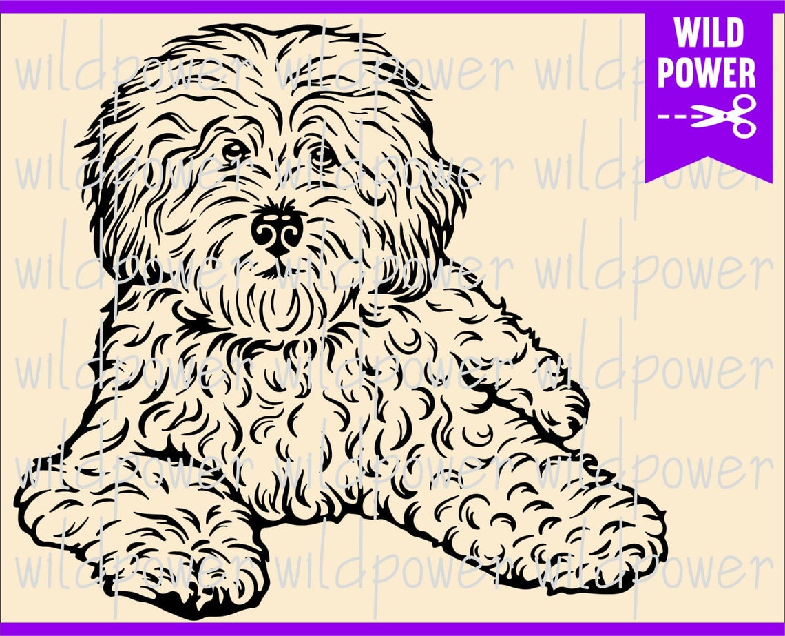 Labradoodle Svgdog Svg Cricut Cute Face Labradoodle - Etsy