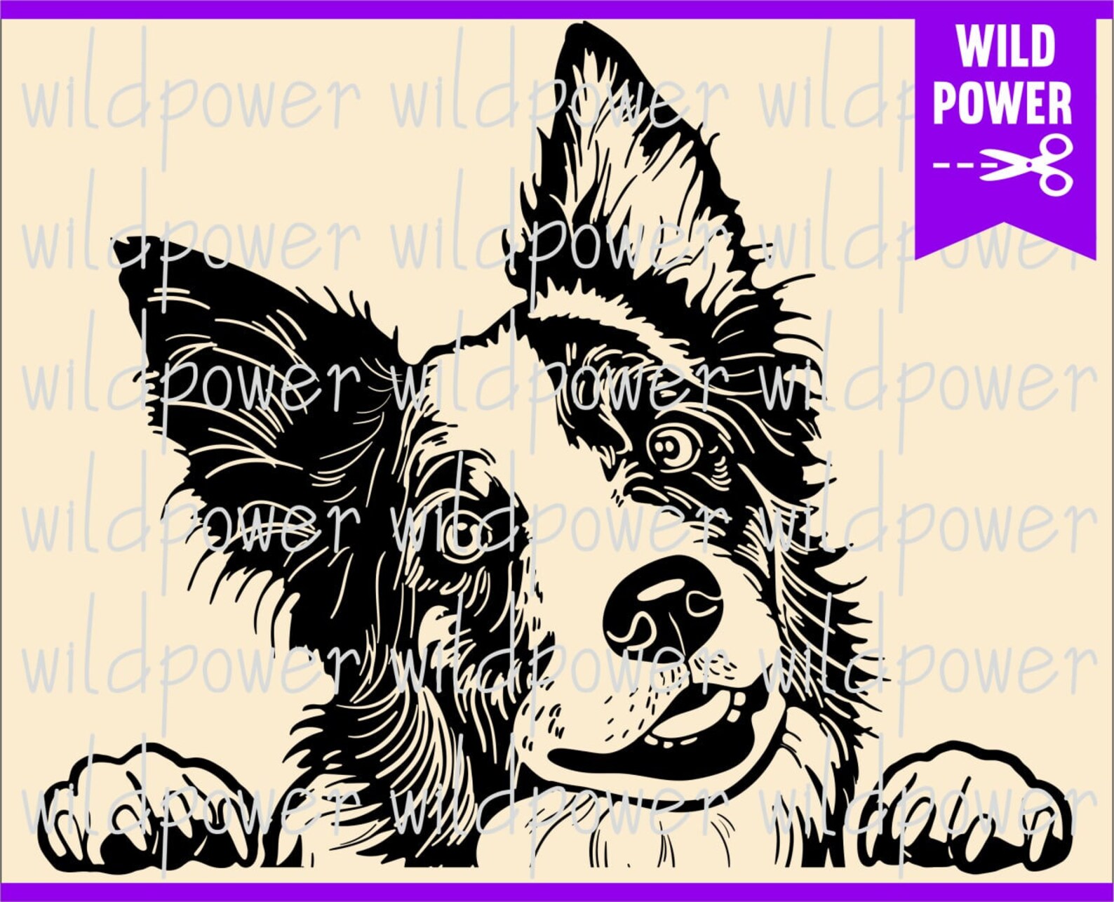Australian Shepherd Svgmini Aussie Face Clipartdog Svg Files - Etsy