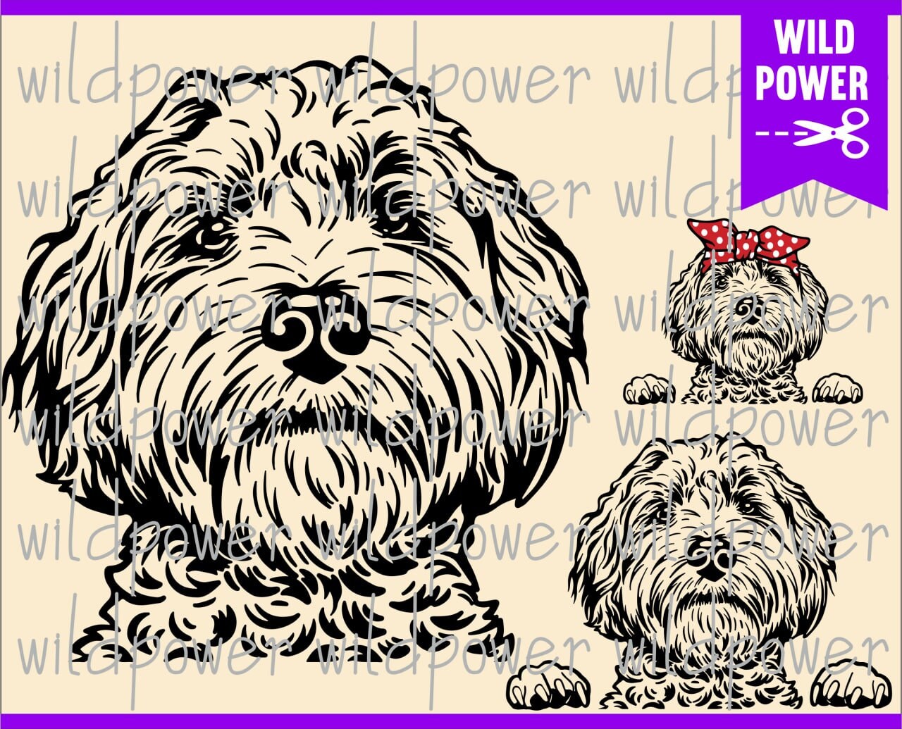 Labradoodle Svgdog Svg Cricut Cute Face Labradoodle - Etsy