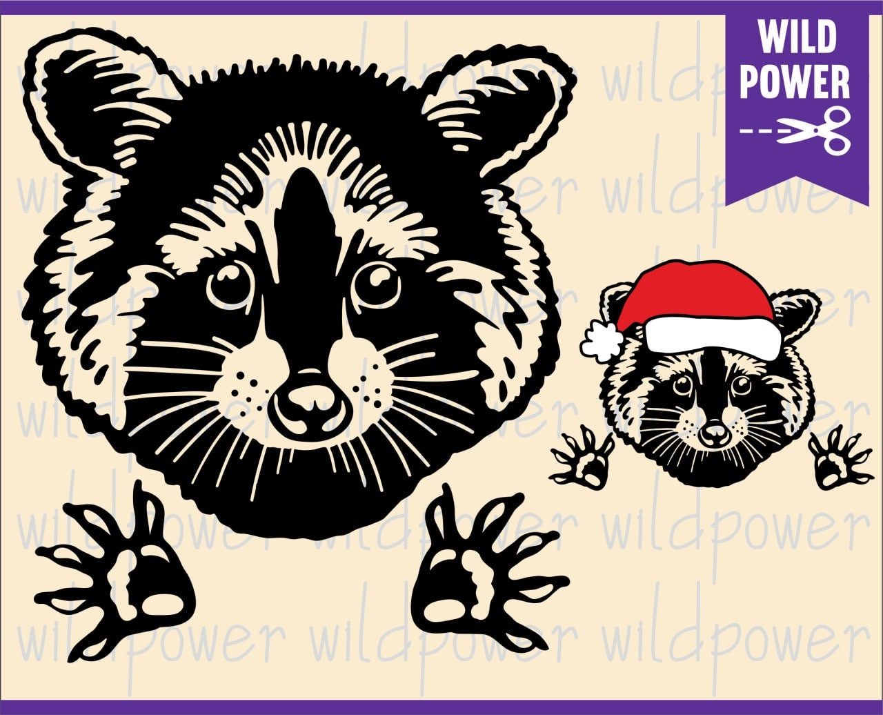 Cara de mapache con patas svg Vector de mapache Descarga de | Etsy