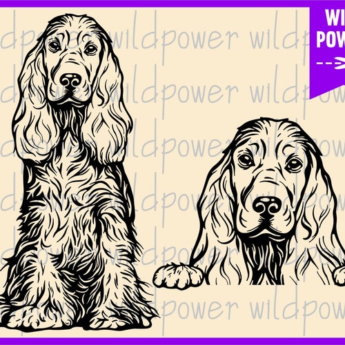English Cocker Spaniel Svg Dog Svg File for Cricut Face - Etsy