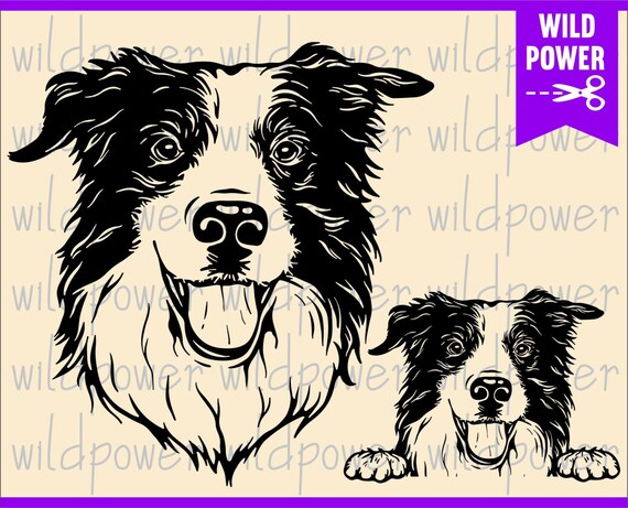 Australian shepherd svgMini Aussie face ClipartDog Svg files | Etsy