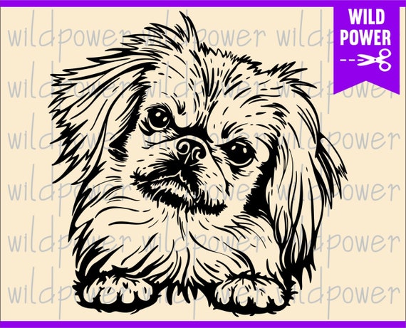 Pekingese Svg Dogpekingese Svg Filepekingese Dxfpekingese - Etsy Finland