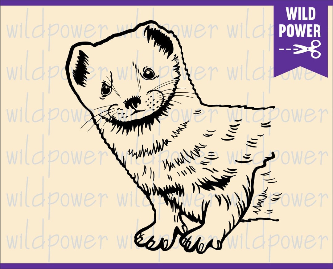 Weasel Animal Svg,weasel Svg,weasel Svg Files,weasel Cricut,weasel ...