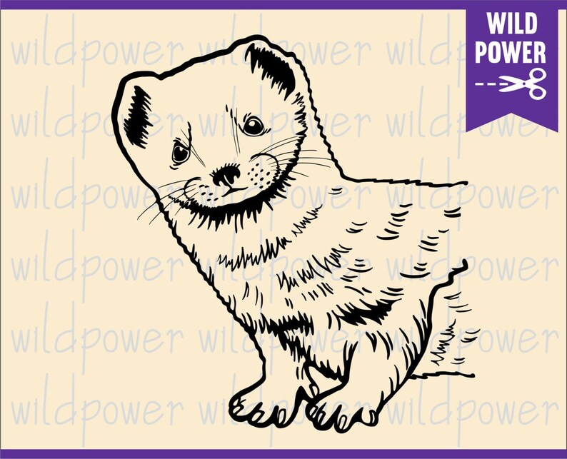Weasel Animal Svgweasel Svgweasel Svg Filesweasel - Etsy