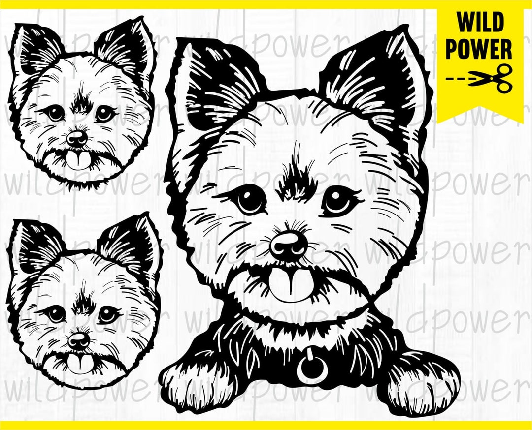 Yorkshire Terrier Svg,yorkie Face Clipart,vector Image Peeking, Dog Svg ...
