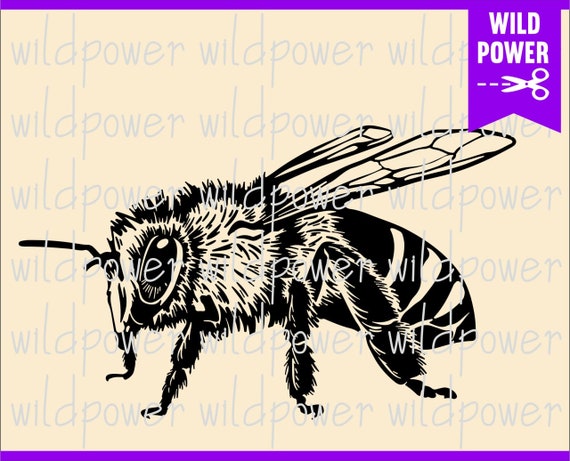 Bee Svgbee Cute Svgbee Svg Filesbee Cricutbee Clipartbee - Etsy