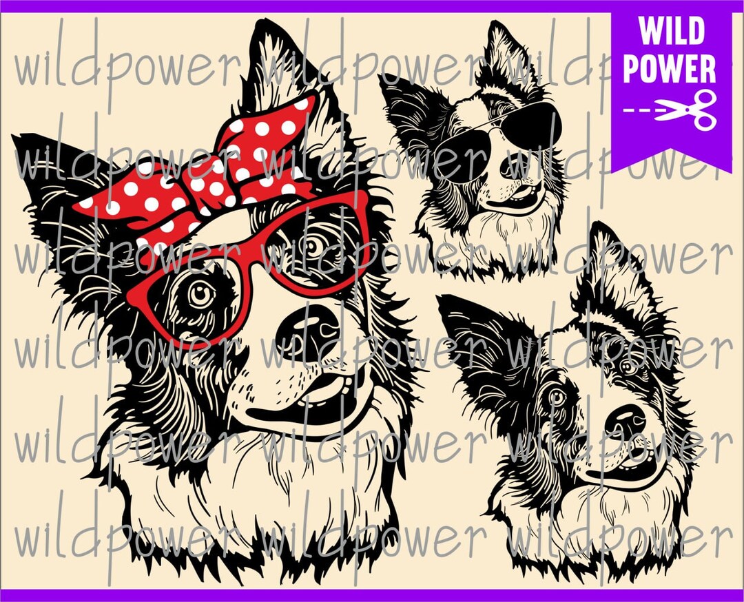 Australian Shepherd Svgmini Aussie Face Clipartdog Svg Files - Etsy