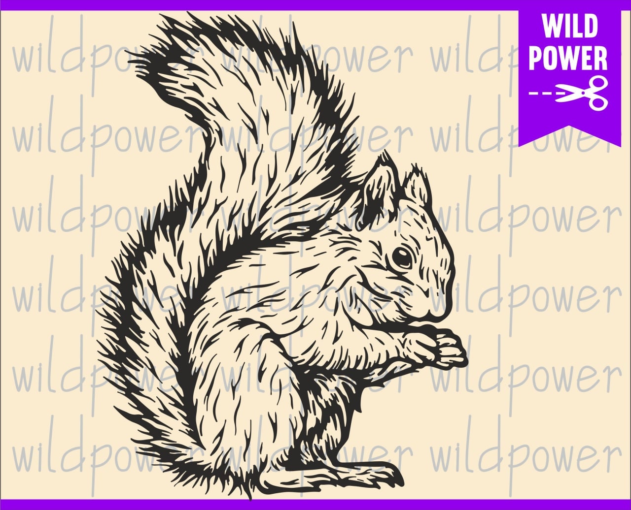 Squirrel SVG File for Cricutsquirrel Shirtsquirrel | Etsy