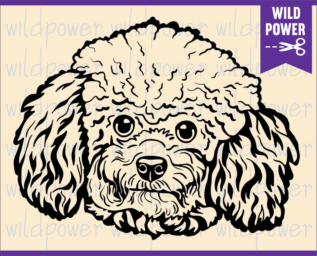 Poodle Svg,poodle Face Svg,poodle Clipart,poodle Dxf,poodle Png,poodle ...