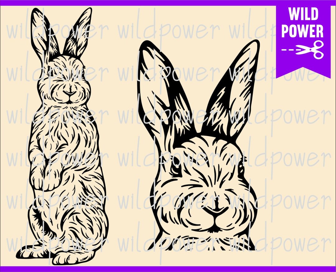 Cute Bunny Face Svg,rabbit Svg,bunny Svg Files for Cricut,easter Farm ...