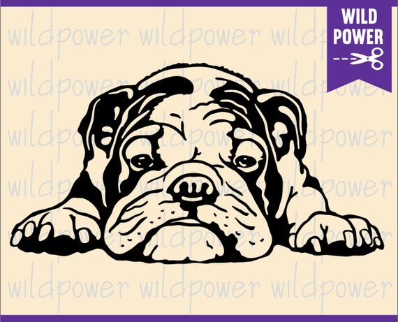 American Bulldog Svgbulldog Svgdog Svg Files for - Etsy