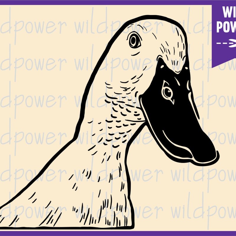 Duck Svg - Etsy