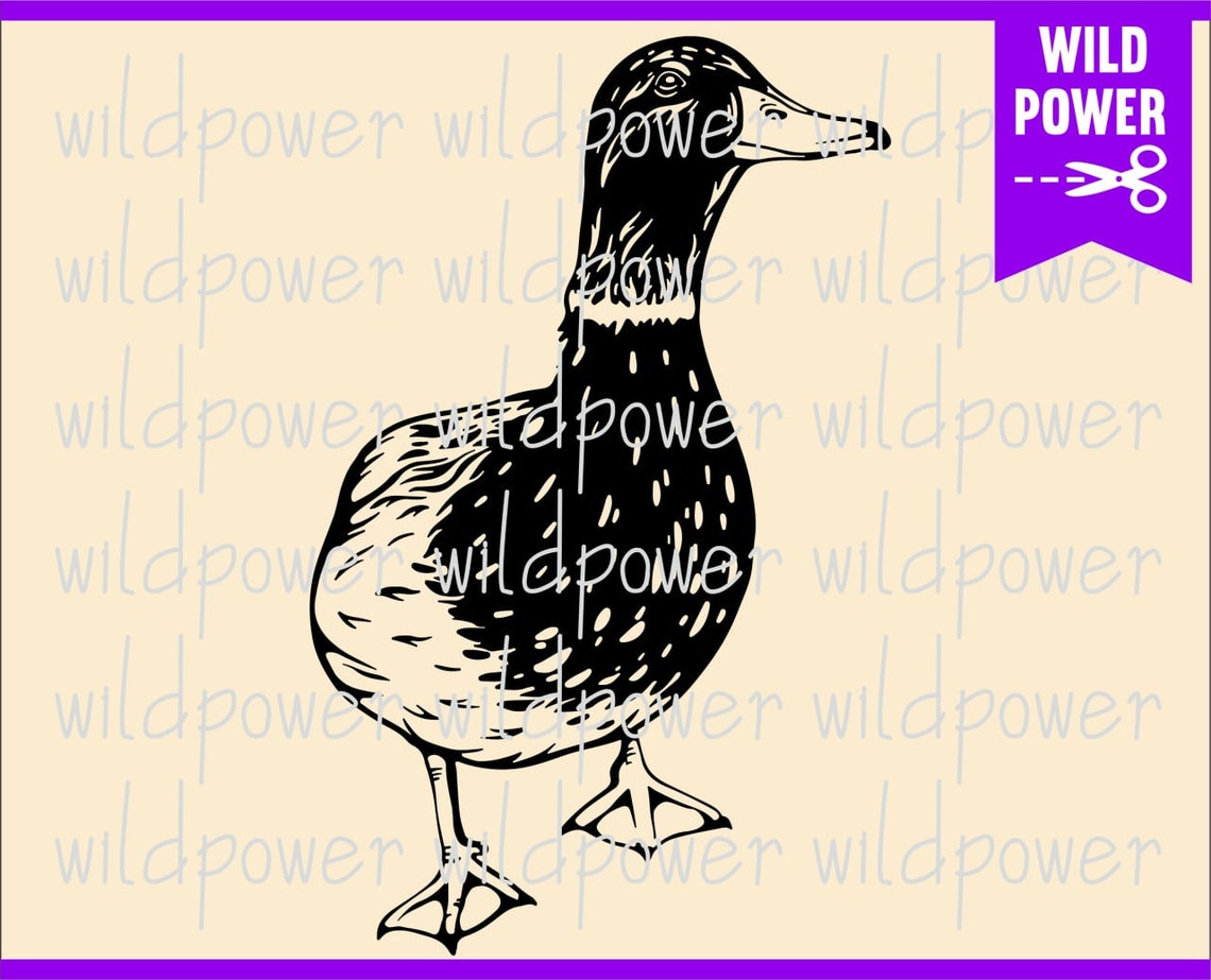 Duck Svg Files for Cricutduck Svgduck Clipartduck Farm | Etsy