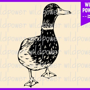 Duck Svg Files for Cricut,duck Svg,duck Clipart,duck Farm Animal Svg ...