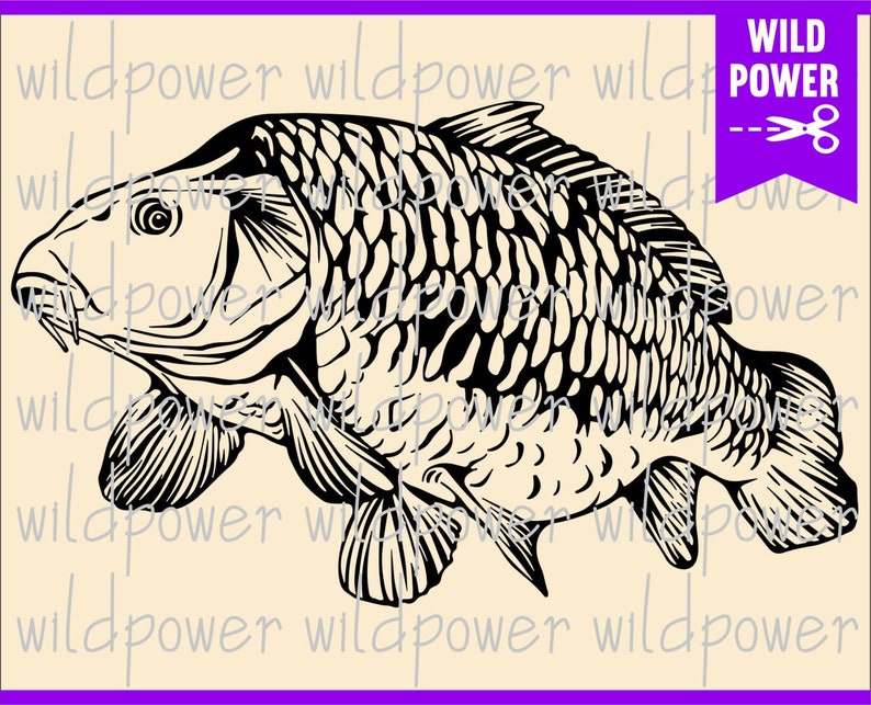 Carp Fish Clipart Carp Fish Svg karp Svg carp Fishing Svg - Etsy UK