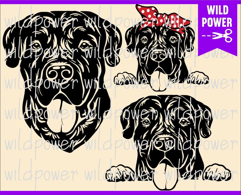 Cane Corso Svg Dog Svg File for Cricut Peeking Dogmastiff | Etsy