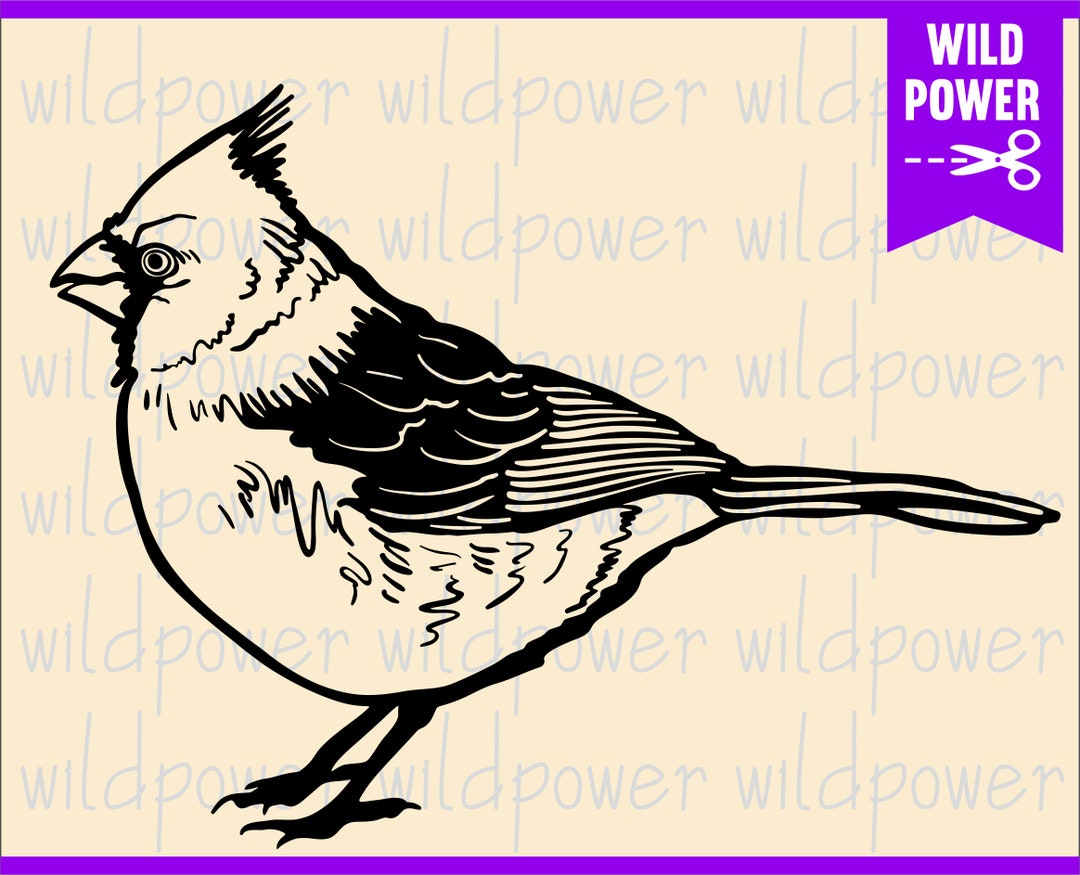 Cardinal Svg,cardinal Layered Svg, Cardinal Clipart,cardinal Cut Files ...