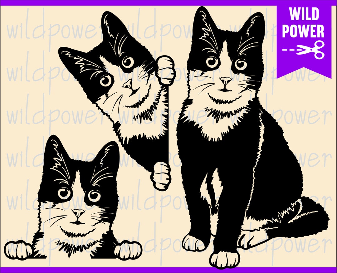 Cute Cat SVG Files for Cricut, Curious Pet Vector,peeking Face Animal ...